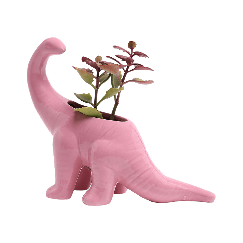 Brontosaurus Ceramic Indoor Plant Pot for Succulents