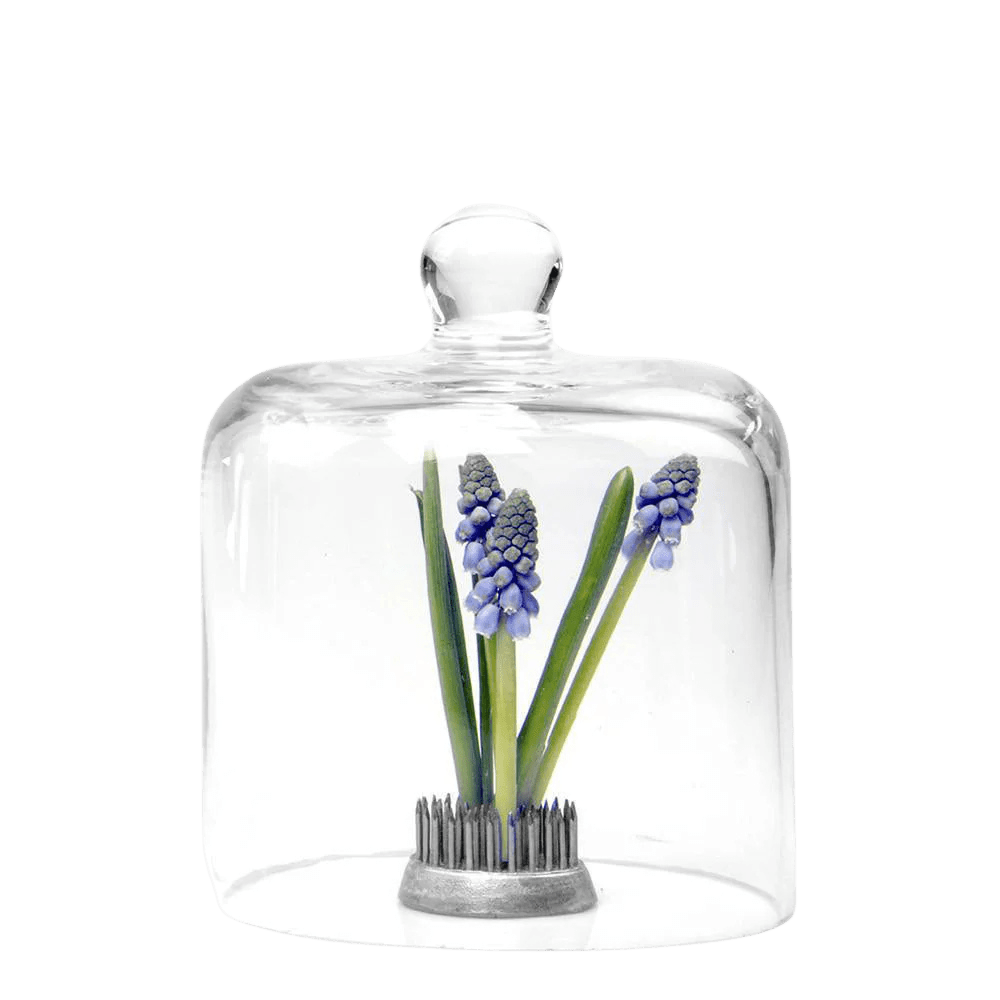 Gip Glass Cloche