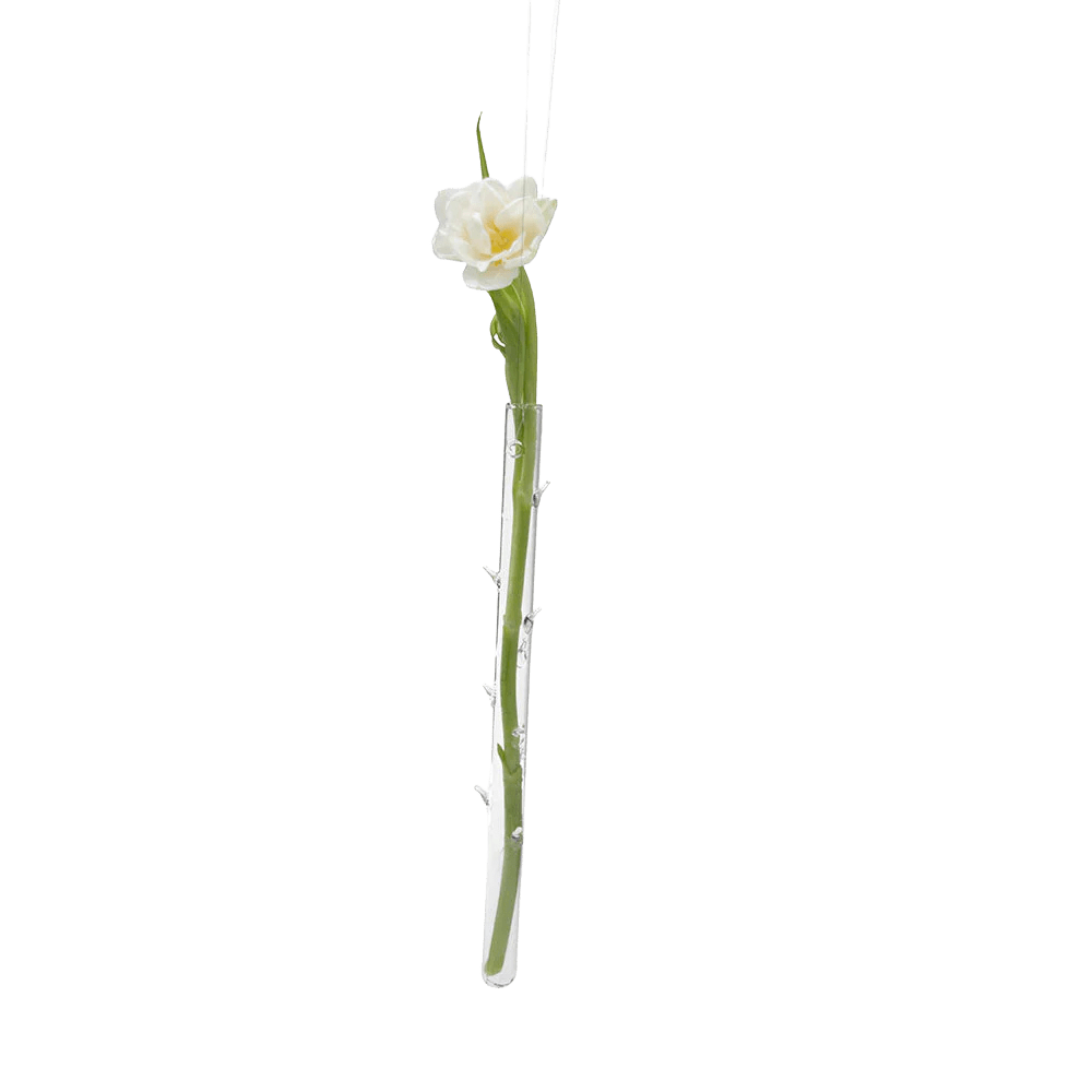 Thorn Glass Hanging Vase