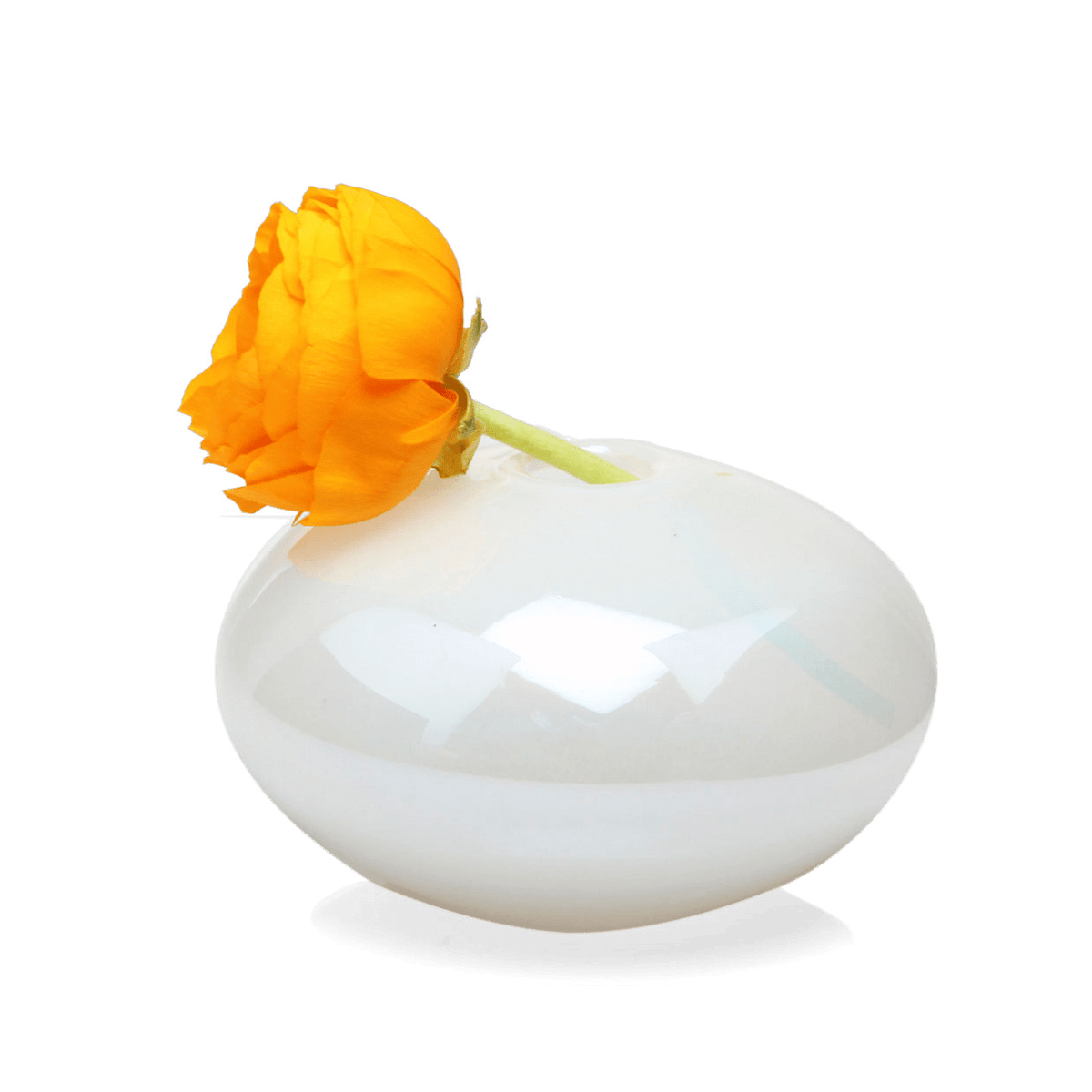 Jordan Glass Modern Flower Vase