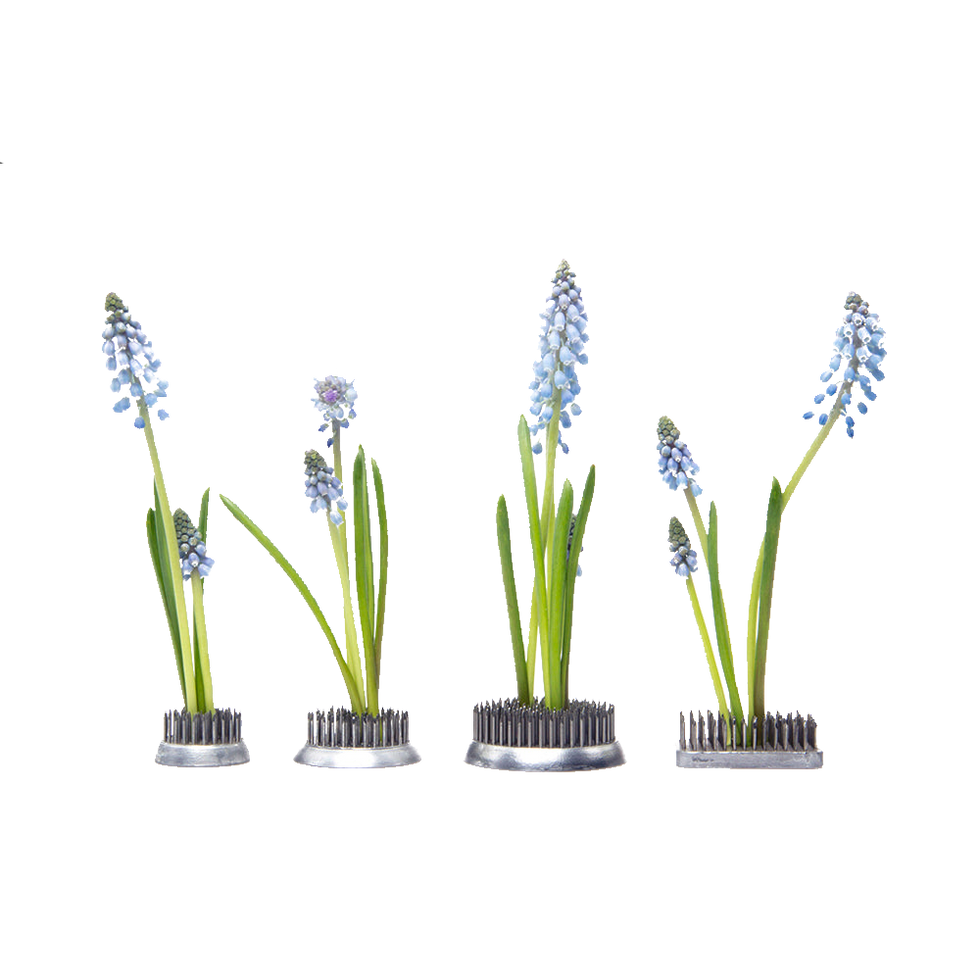 Kenzan Ikebana Floral Frogs and Dishes