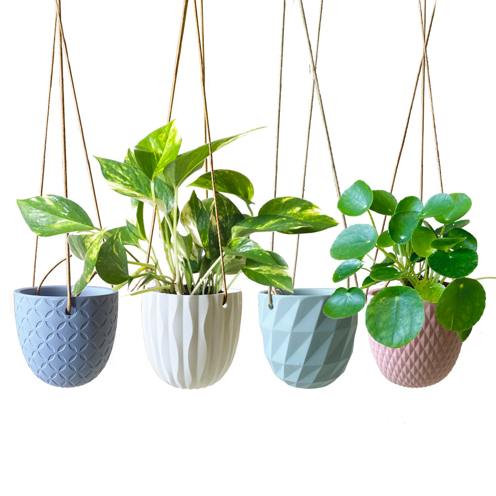 Pots without Drainage Holes | Planters without Drainage – Chive ...