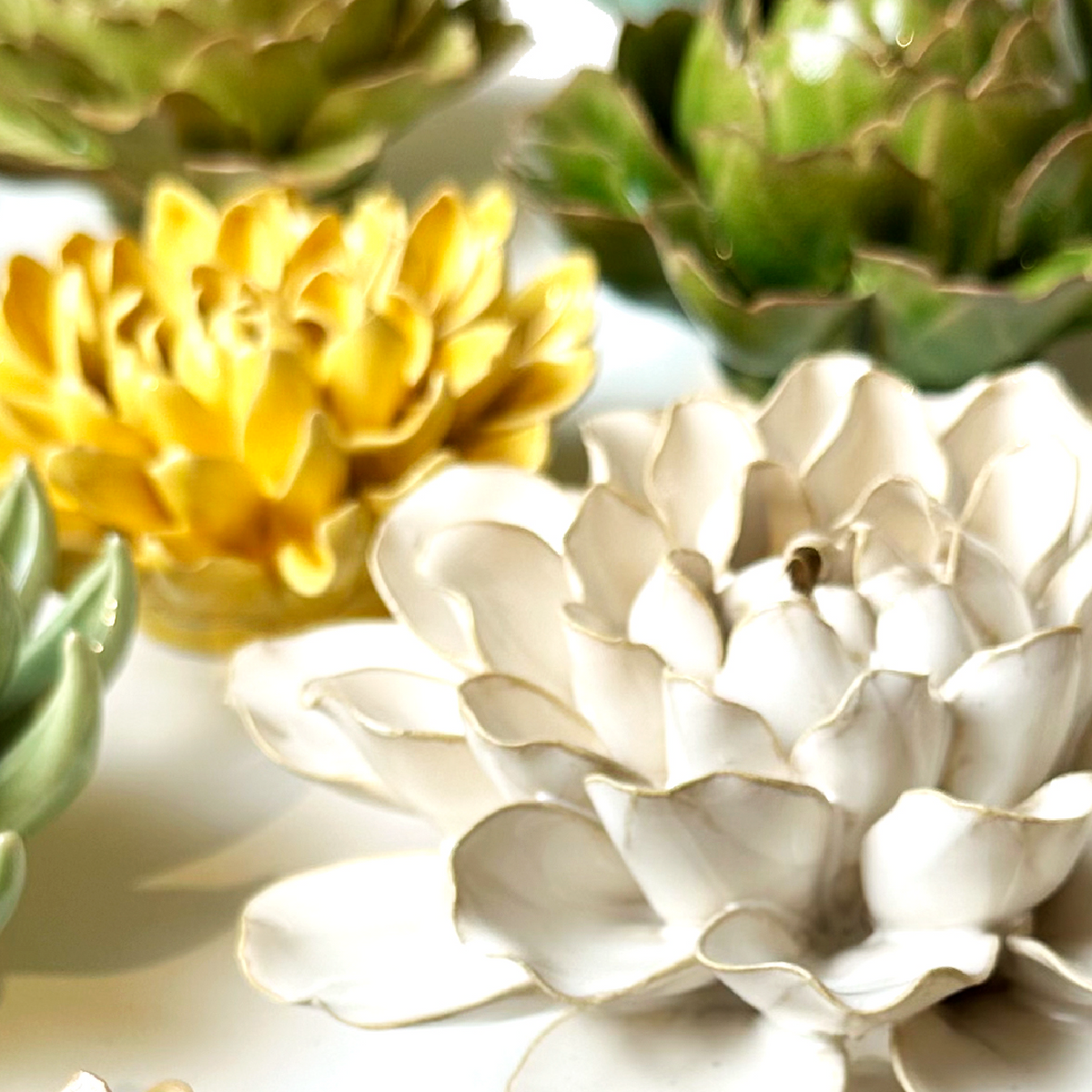 Pots without Drainage Holes | Planters without Drainage