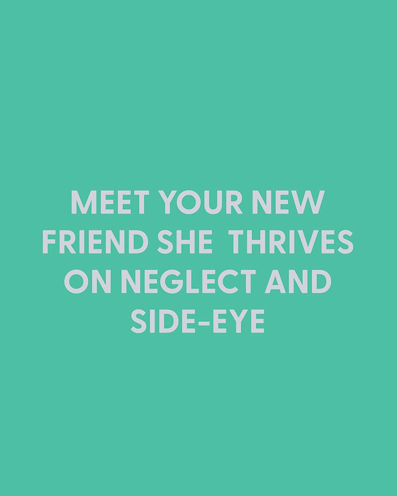 Meet your new friend she thrives on neglect and side-eye - Greeting Ca