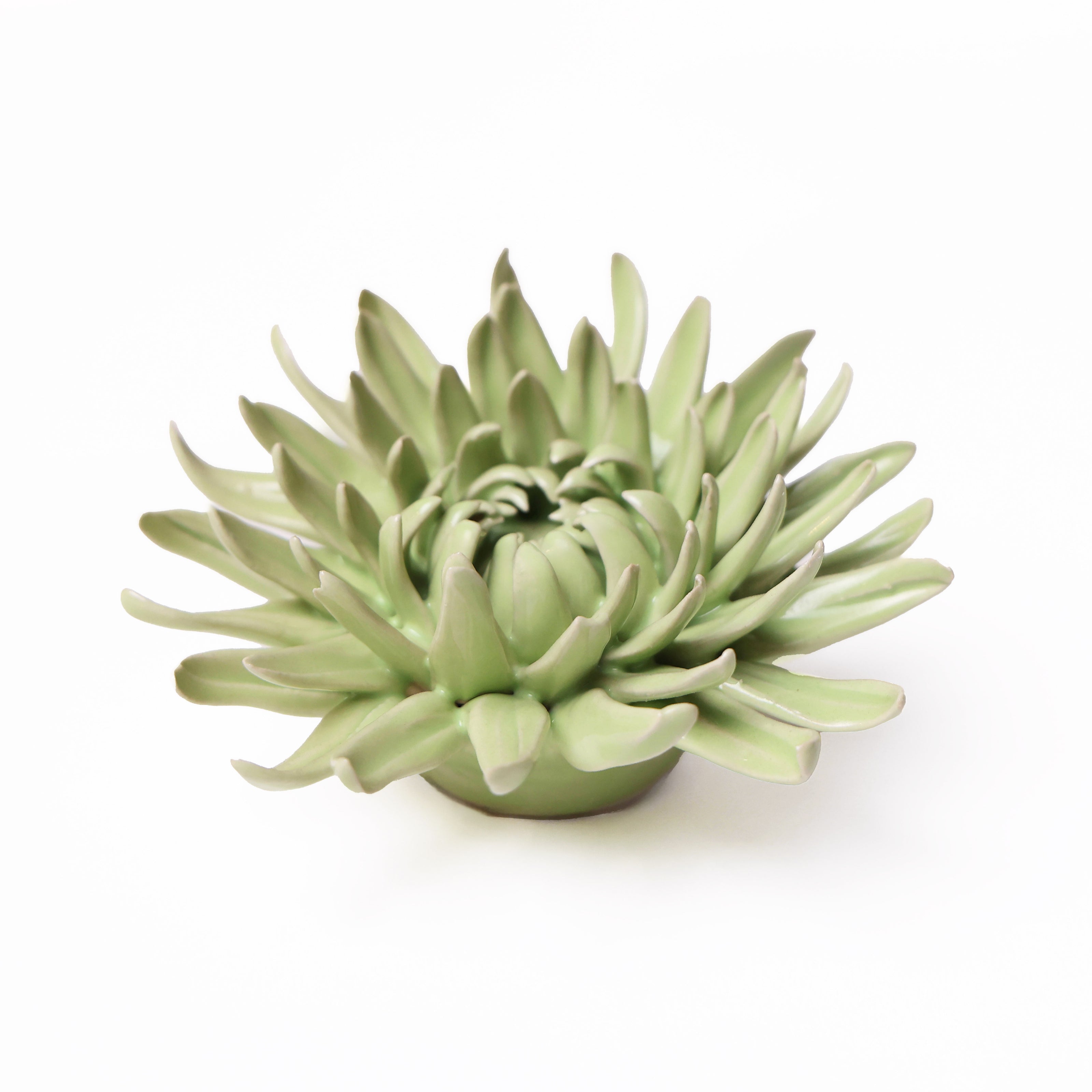 Modern and Contemporary Pottery, Vases, and Terrariums | Chive – Chive ...