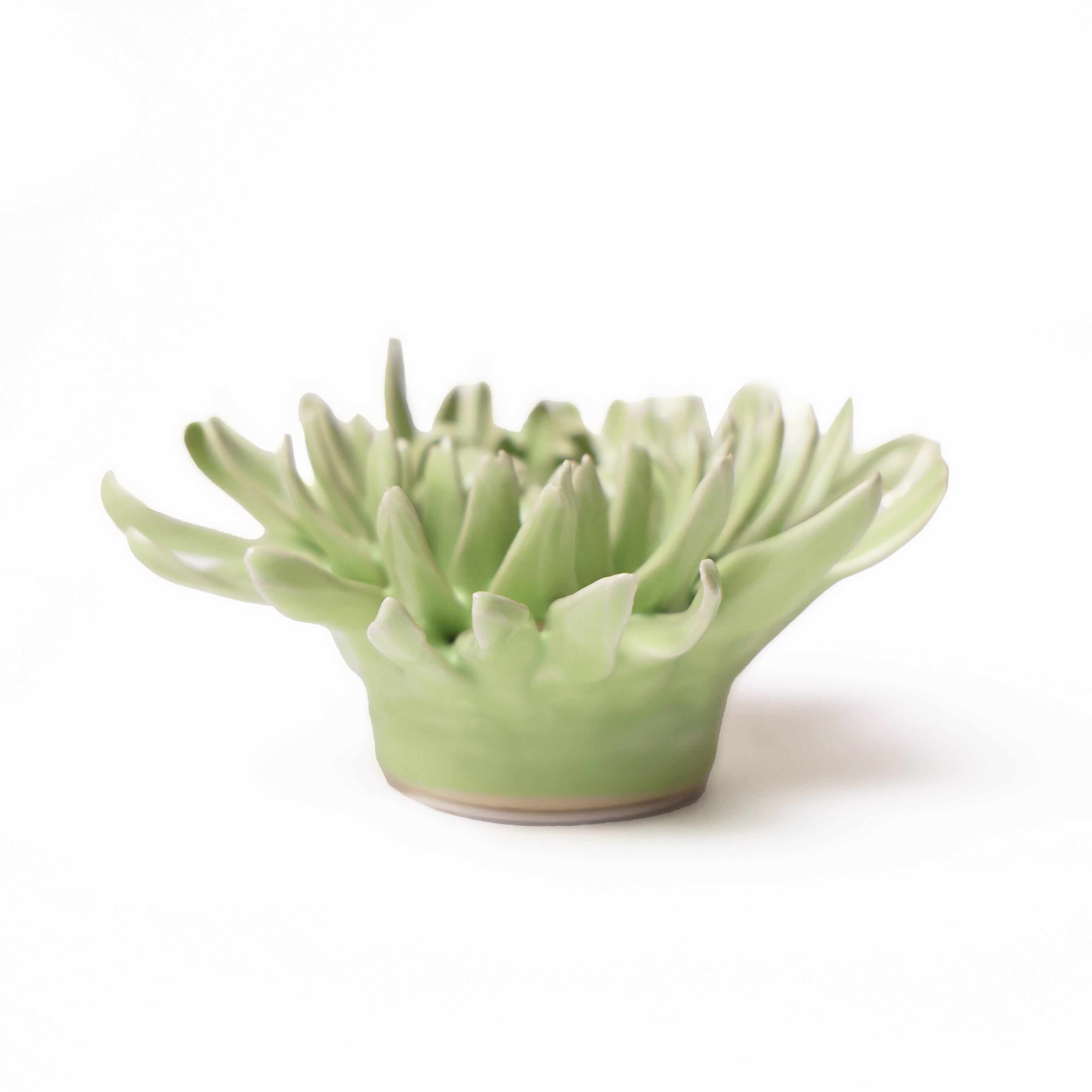 Modern and Contemporary Pottery, Vases, and Terrariums | Chive – Chive ...