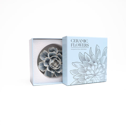 Collections – Chive US