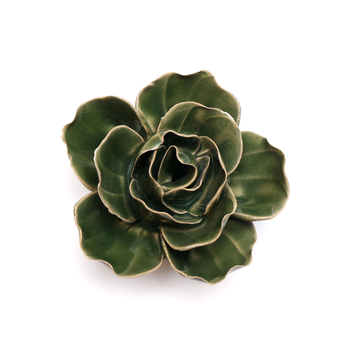 Modern and Contemporary Pottery, Vases, and Terrariums | Chive – Chive US